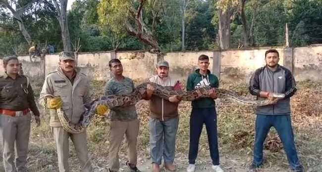 Uttarakhand : यहां मिला विशाल अजगर, बड़ी मुश्किल से आया काबू में ...